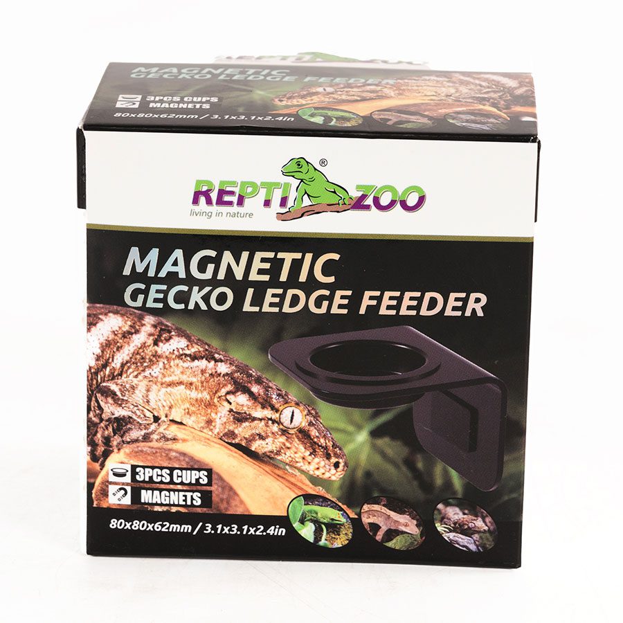 Repti Zoo Magnetic Arboreal Feeder 8x8cm — The Reptile Hotel