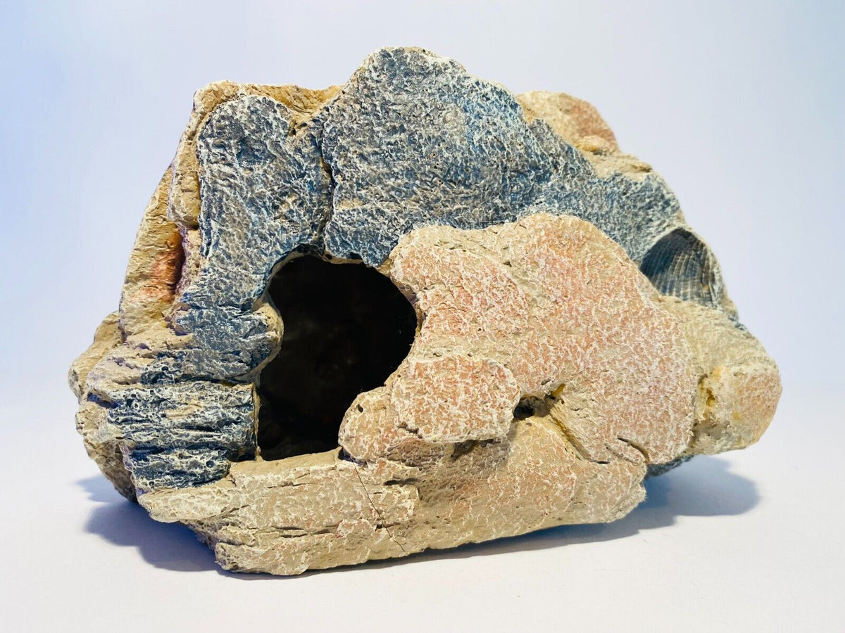 Medium Fossil Rock — The Reptile Hotel
