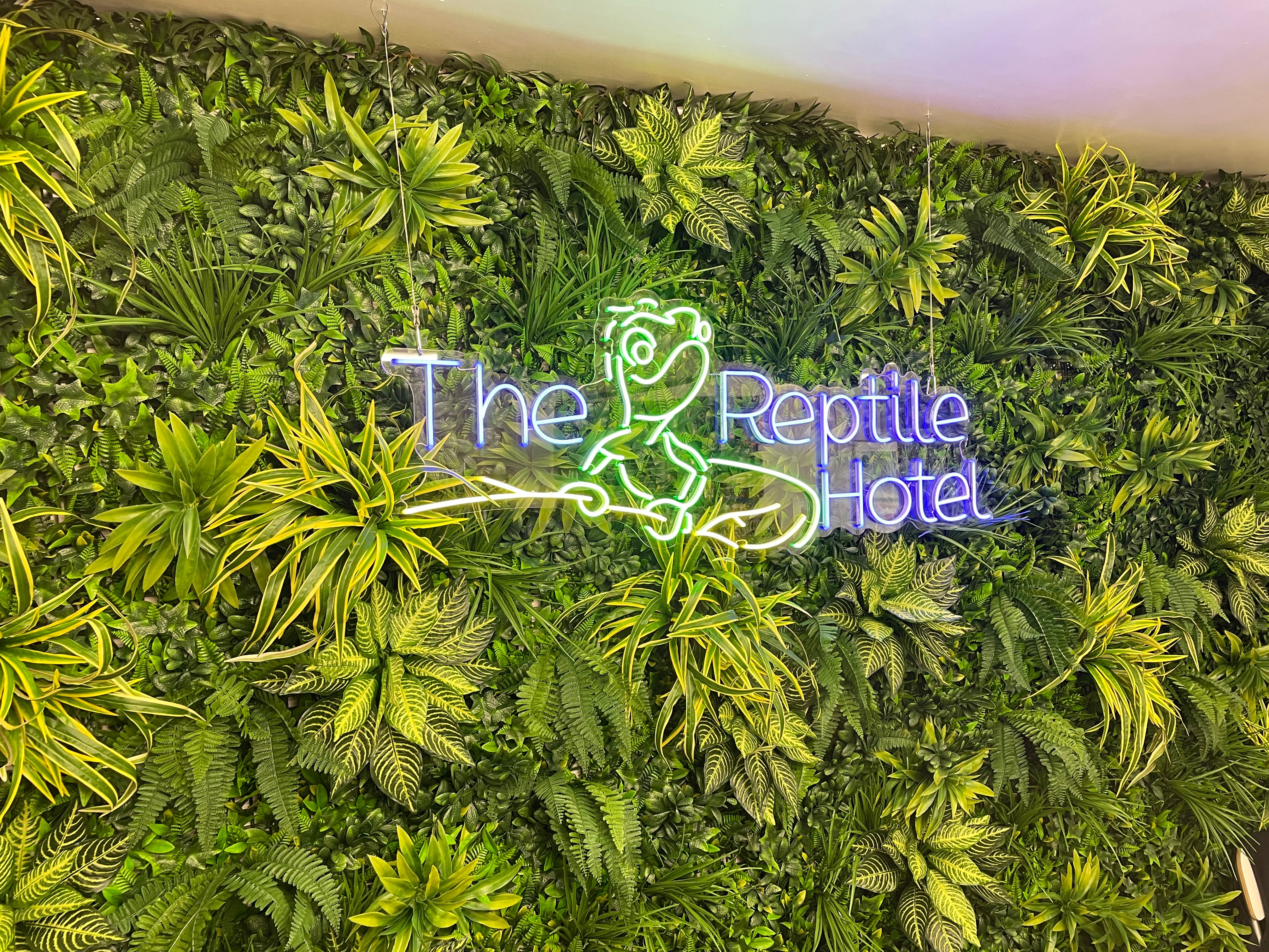 The Reptile Hotel