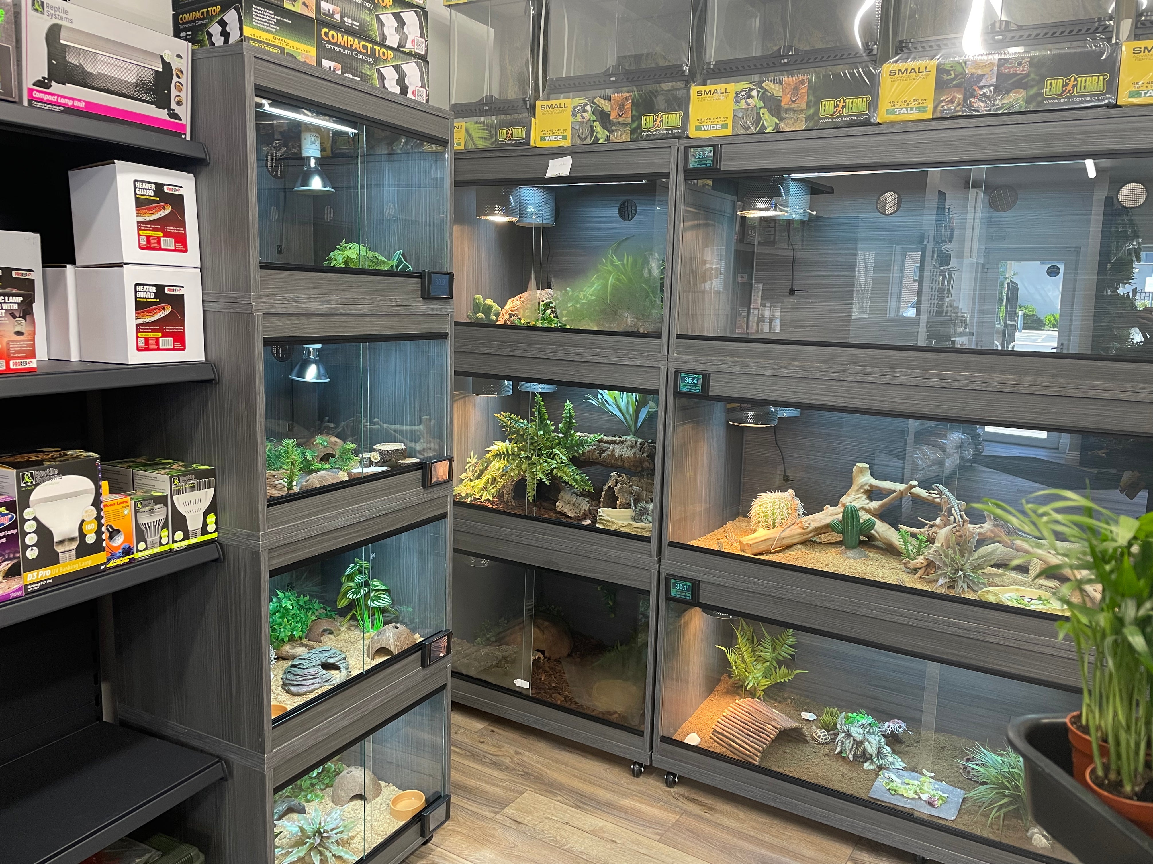 The Reptile Hotel