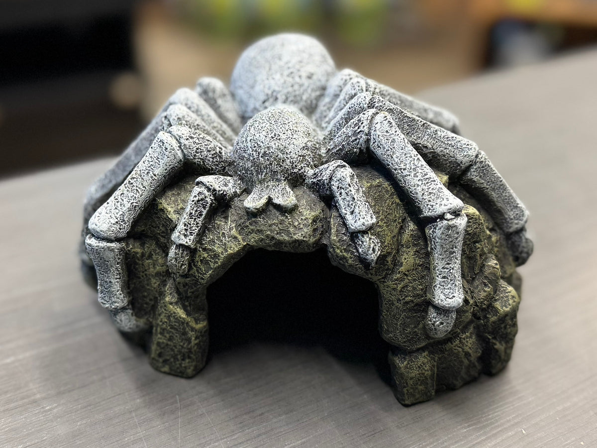 Tarantula Rock Cave — The Reptile Hotel