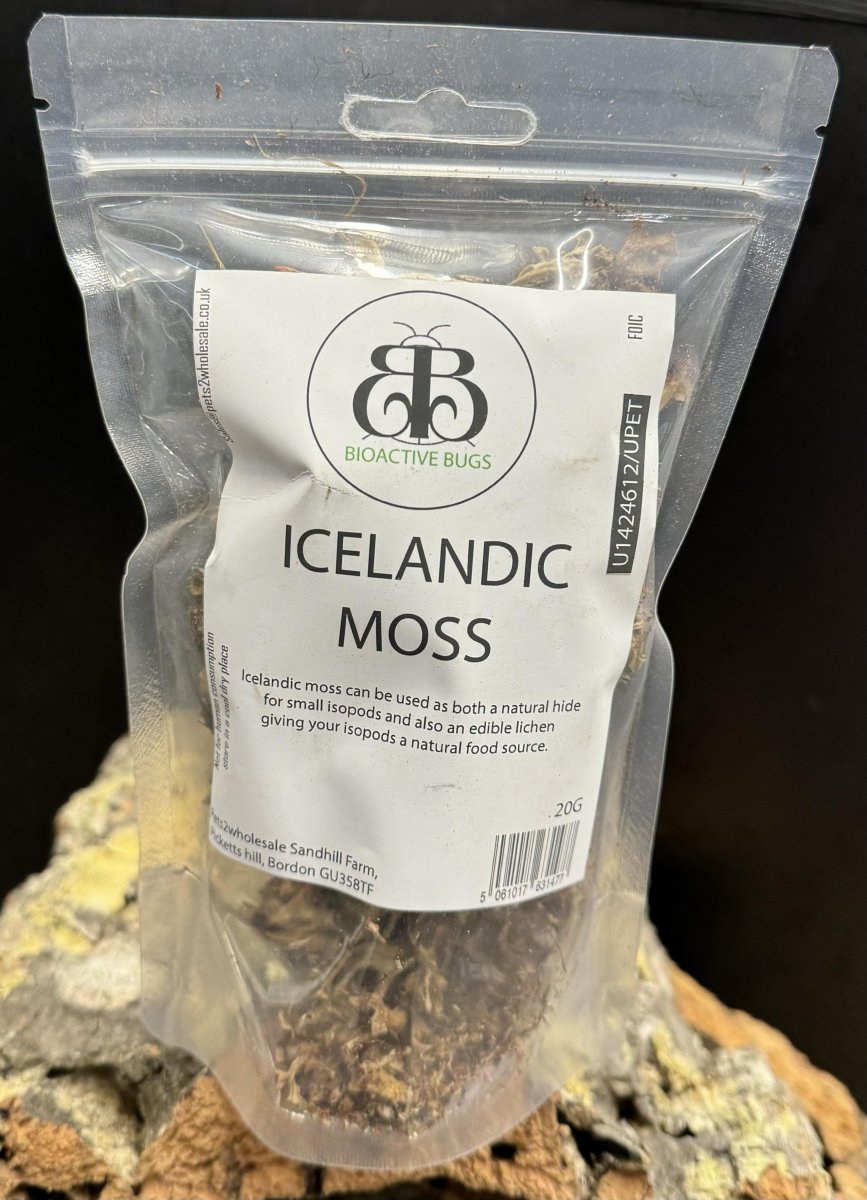Bioactive Bugs - Icelandic Moss/Edible Isopod Hide 20g — The Reptile Hotel