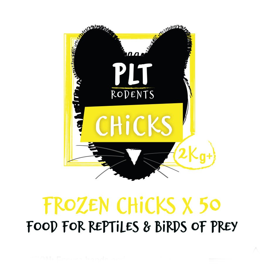 PLT Frozen Chicks 2kg approx 50 — The Reptile Hotel