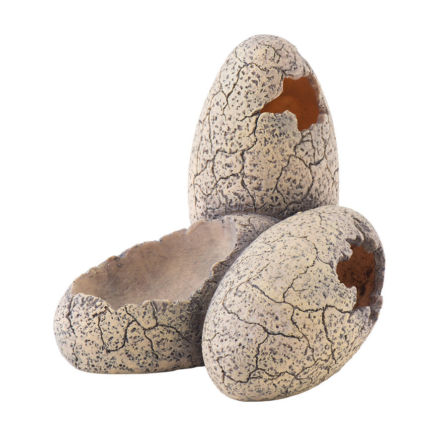Exo-Terra Dinosaur Egg Hide + Dish — The Reptile Hotel